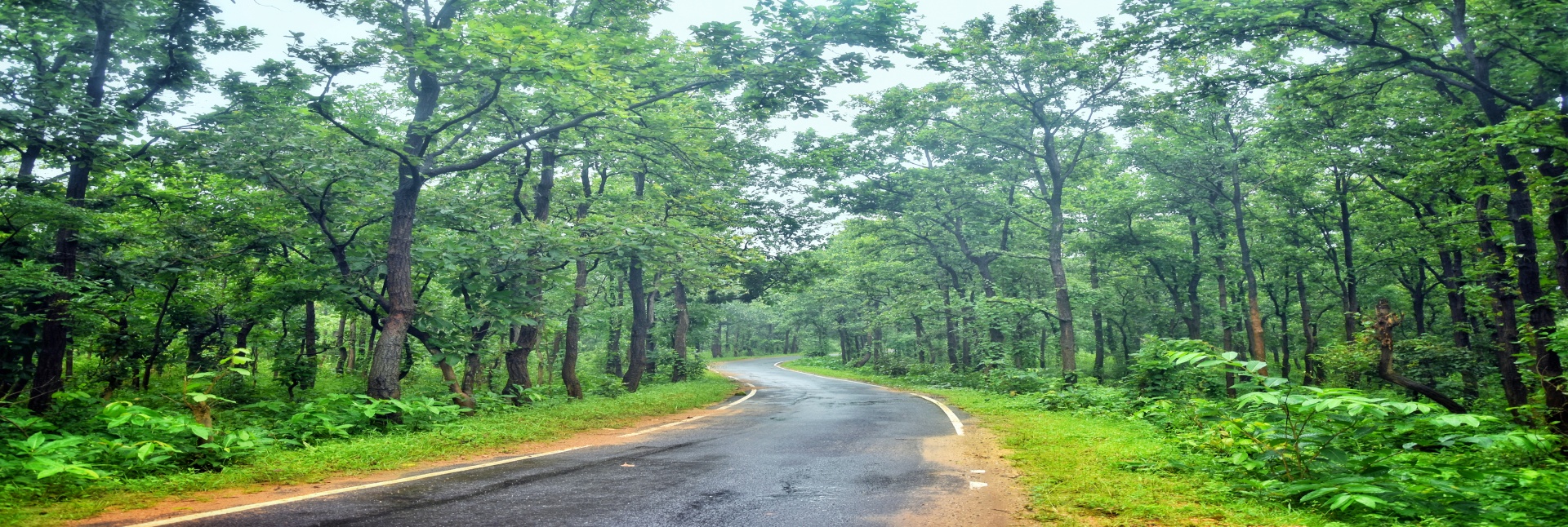 Bokaro Forest Region- Govt.of Jharkhand